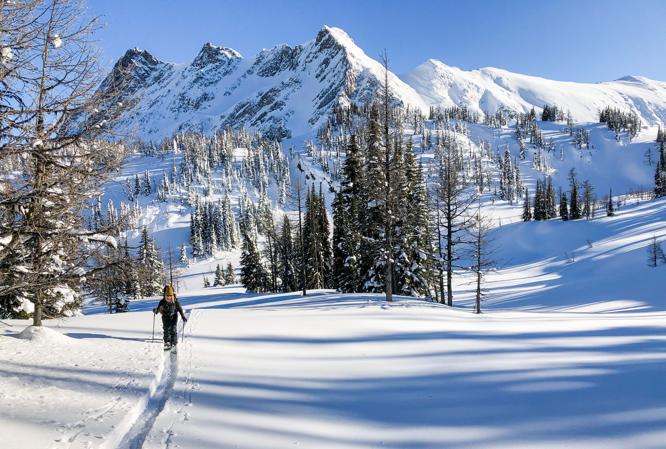 Stay Wild Backcountry - Educate, Inspire, Empower